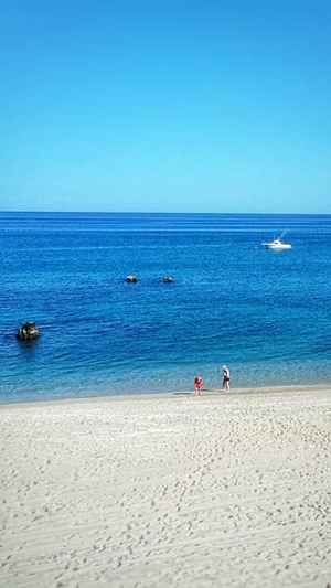 CONOCIENDO EL CARDONAL en BAJA CALIFORNIA SUR