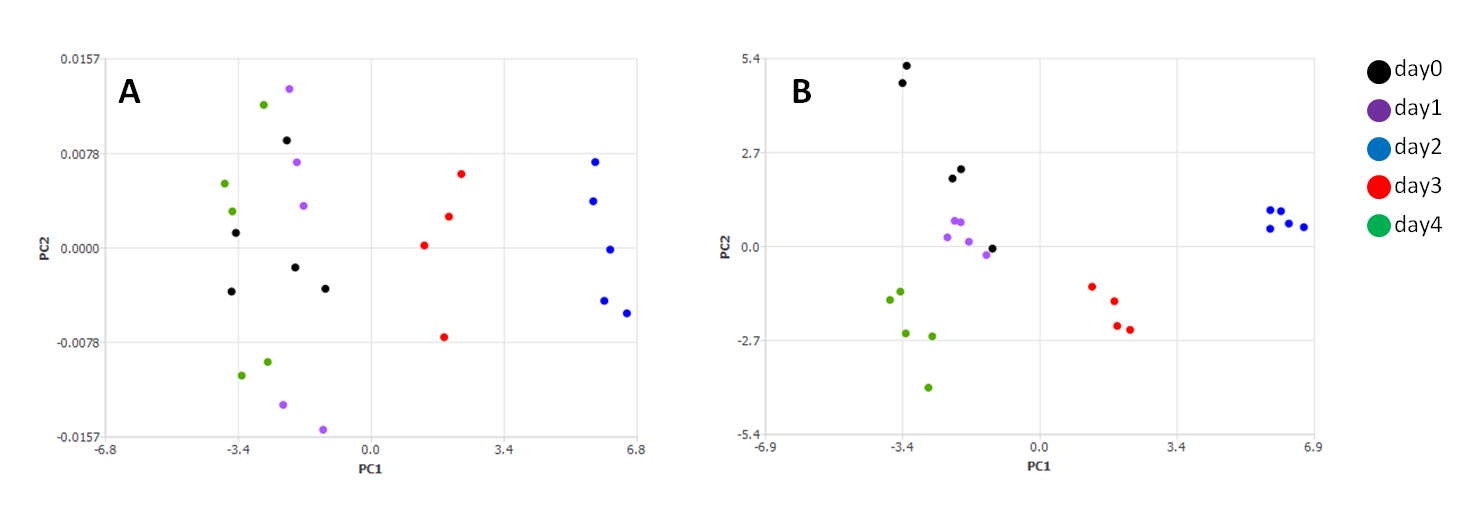 NMR Analysis, Processing and Prediction: PCA and NMR: Practical aspects