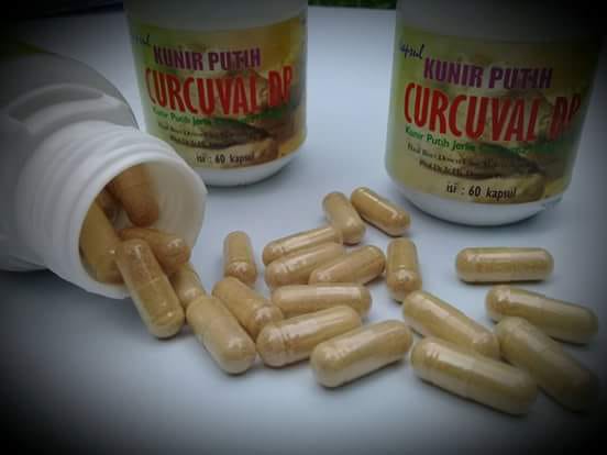 OBAT ASAM URAT HERBAL, KUNIR PUTIH CURCUVAL DP