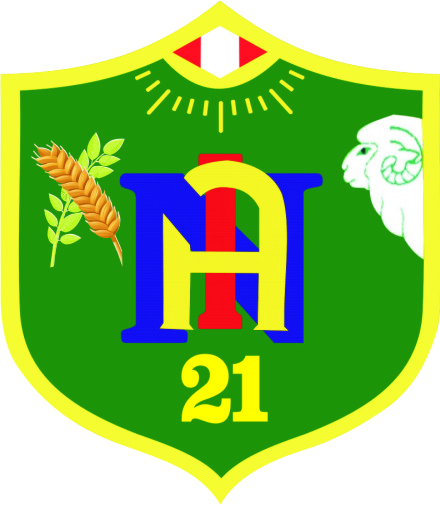 RESEÑA HISTÓRICA ~ GLORIOSO EMBLEMÁTICO INA 21