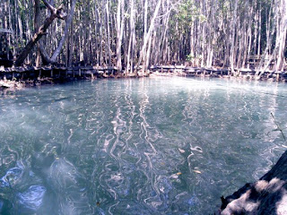 Lista de Cenotes en Yucatán - BLOG YUCATÁN