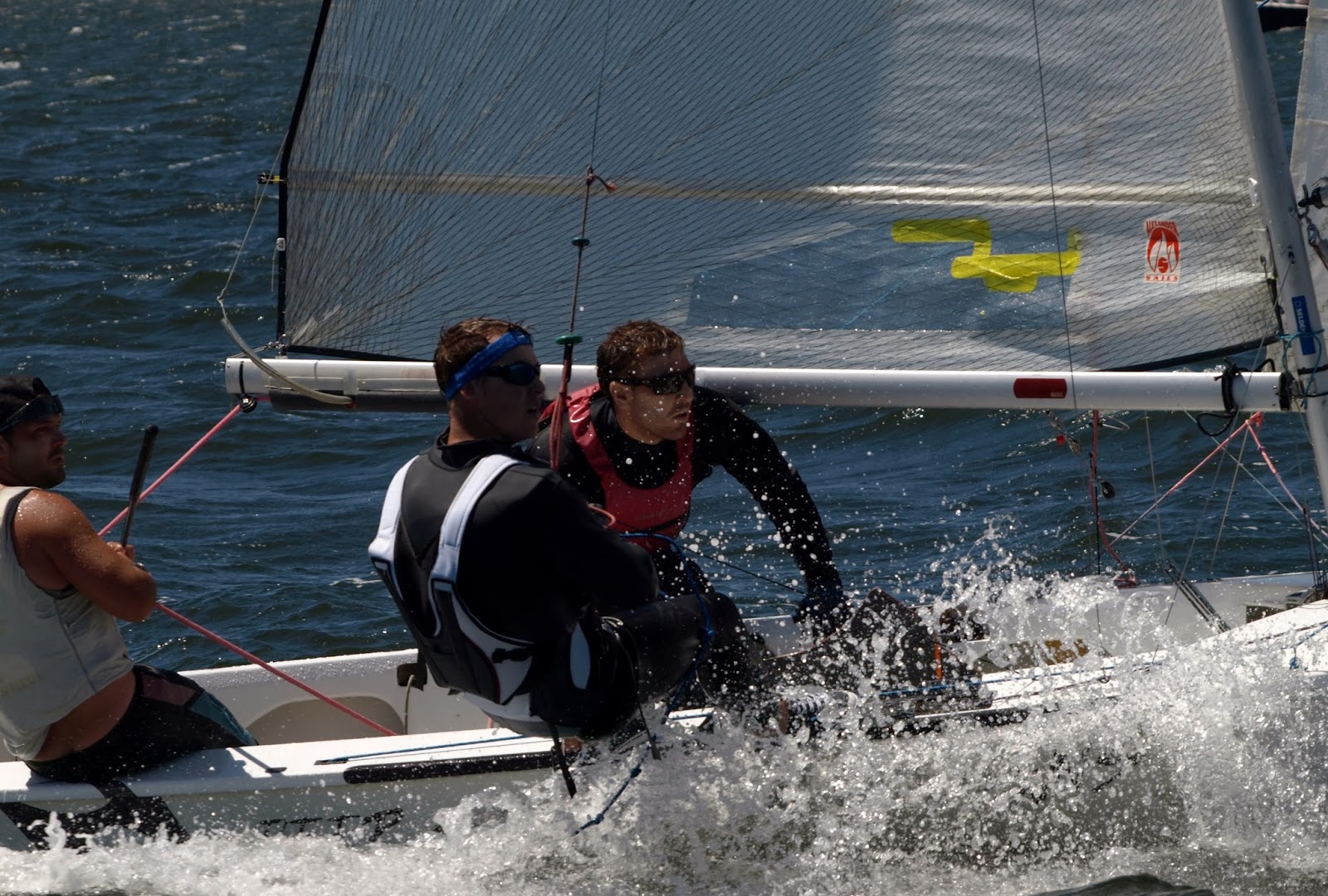 Observations in an undemocratic world: Race 6 - Australian Sharpie ...