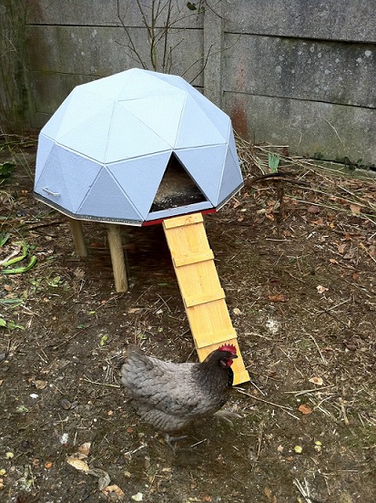 Gambar Model Kandang Ayam Sederhana, Minimalis, Unik hingga Modern ...