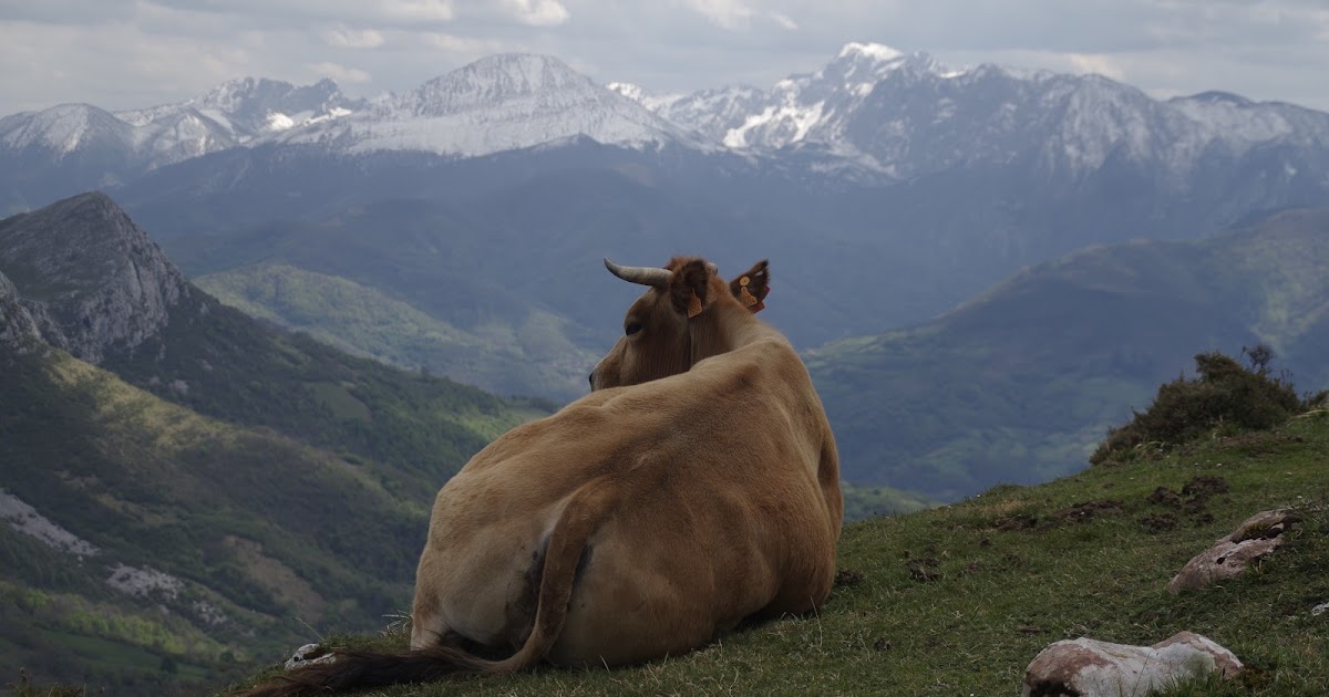 A lo bouzo: La Airua Naval desde la Rebolla [Quirós]