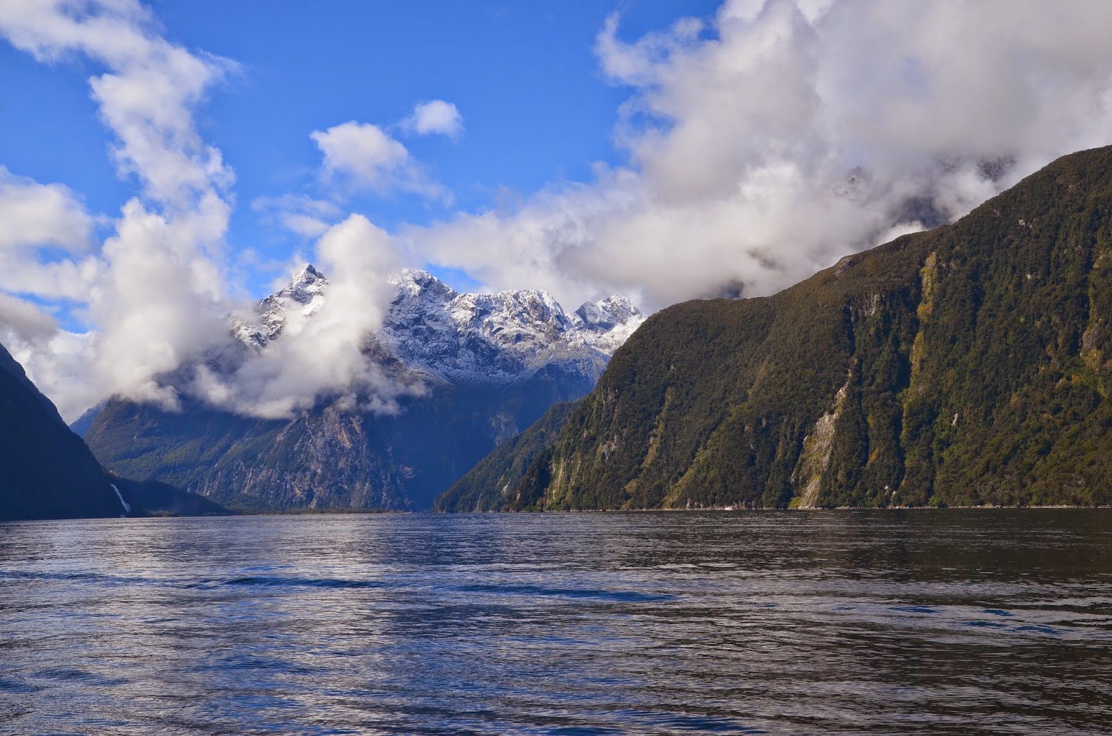 bwisegardening: Grief Is A River