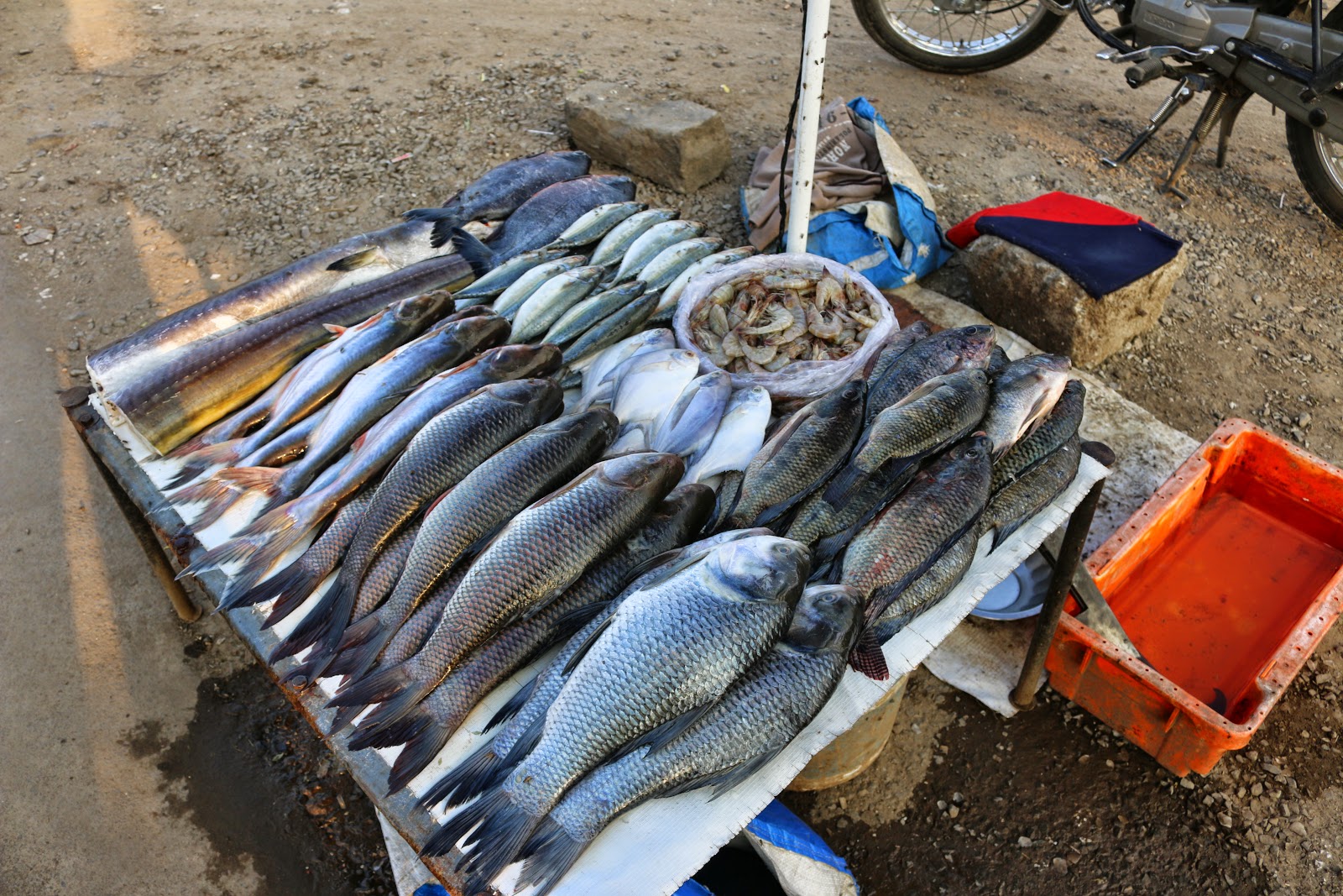 Ravi Karandeekar's Pune Real Estate Market News Blog: Launched! 1 BHK ...