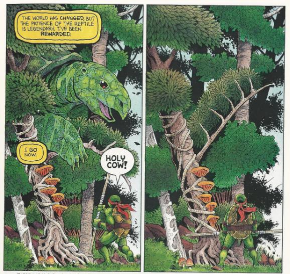 TMNT Entity: Donatello: The Ring