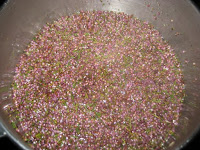 Craft Home Brewing: Heather Ale