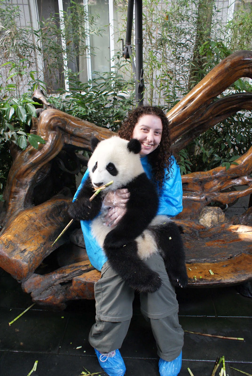Michelle and Gareth's travel blog: Cuddling a Giant Panda