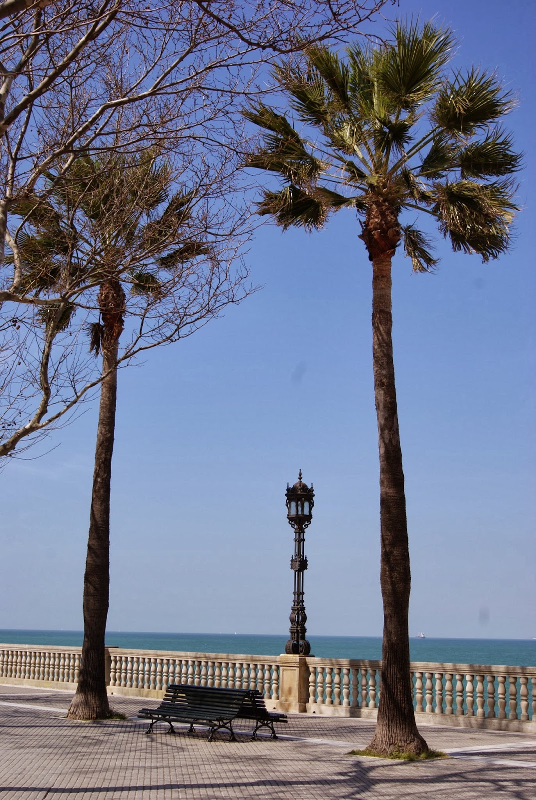 HISTORIAS Y CULTURAS DE CÁDIZ: " LA ALAMEDA DE APODACA