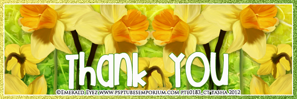 Tasha's Playground: Emerald Eyez tag/snags!