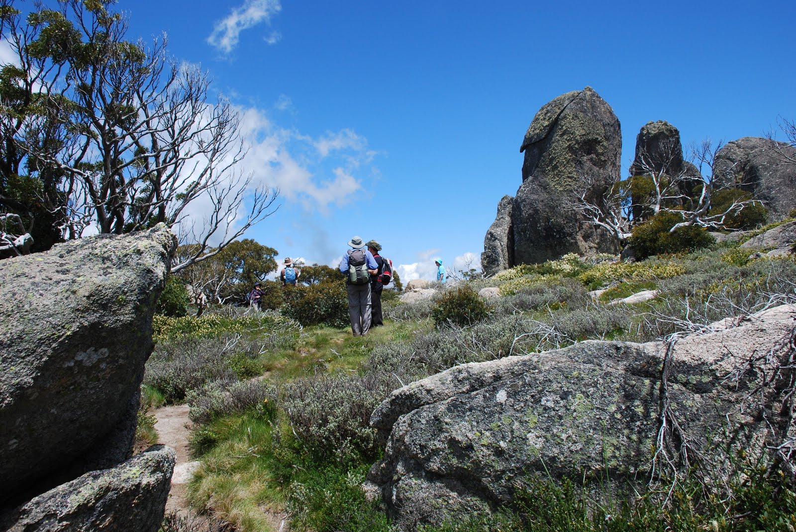 walkabouters club of victoria inc: Walkabouter's Summer Camp, 2011.