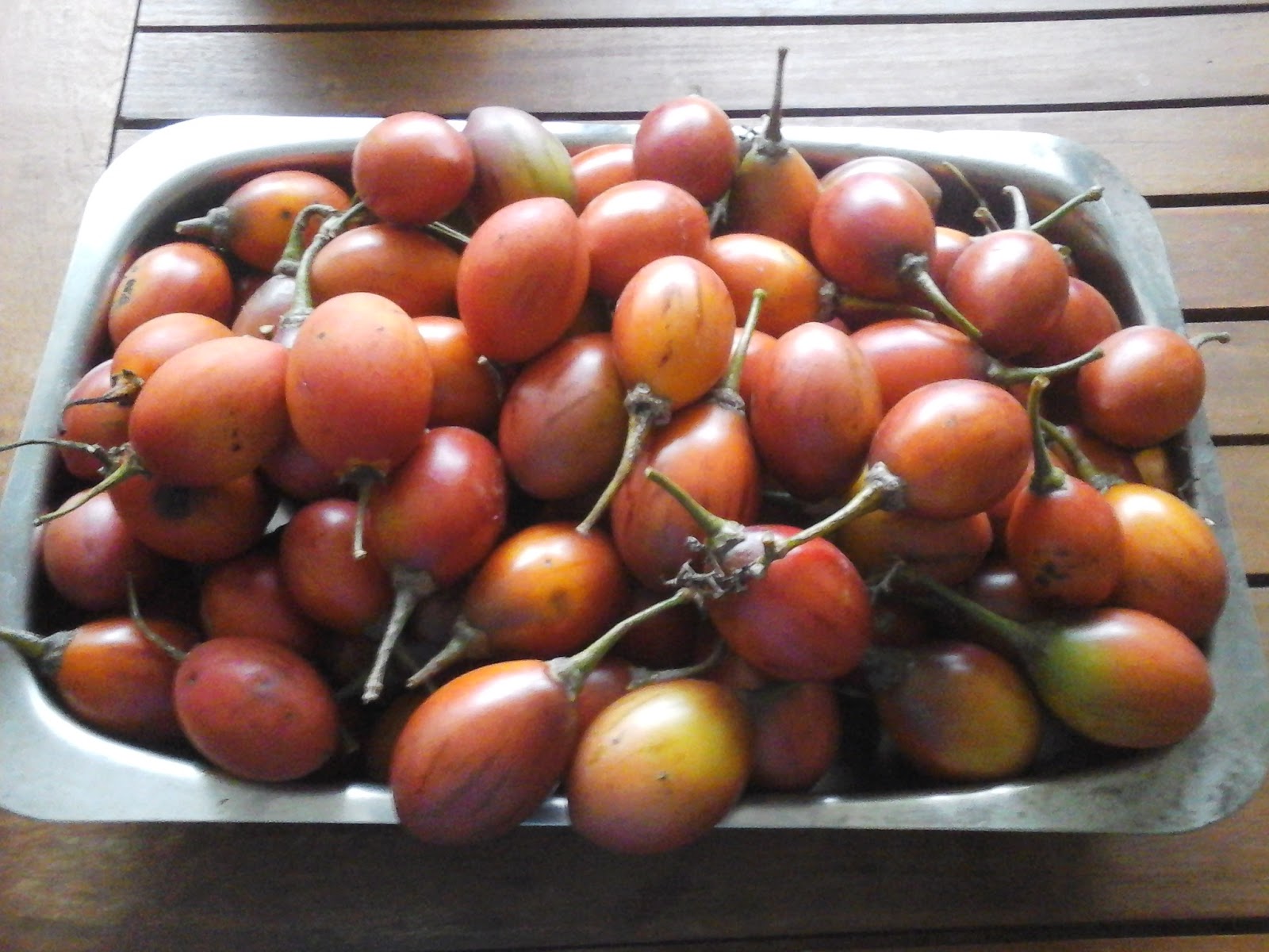 Tanto Lixo, Tanto Luxo: Compota de tamarilho