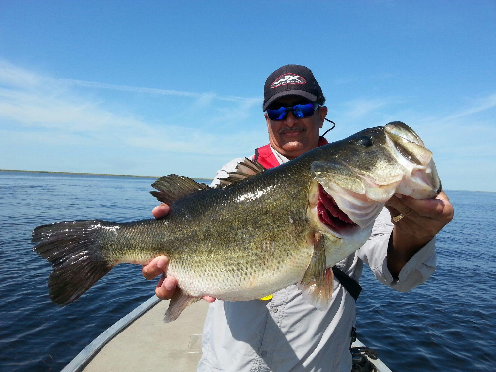 Big Bass on Artificial Baits! – Lake Okeechobee Bass Fishing - Fishing ...