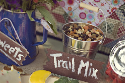 Creative Party Ideas by Cheryl: Girls Camping Party