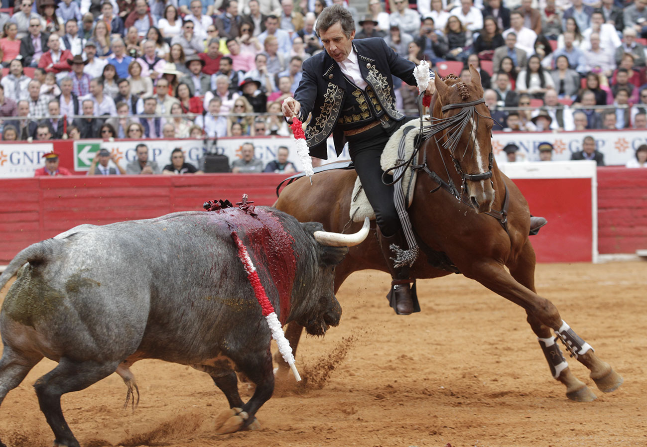 El Redondel Taurino: CIUDAD DE MÉXICO (ESTADO DE MËXICO) 19-02-2017 ...