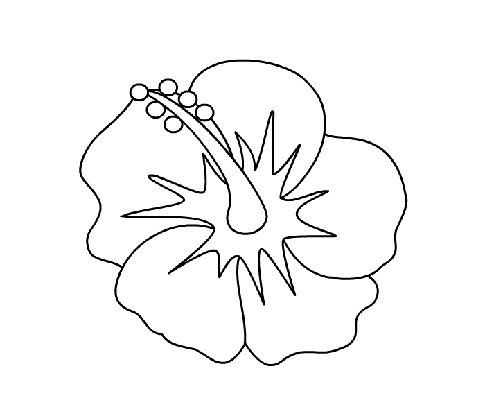 Hibiscus Flower Coloring Pages Flower Coloring Page hibiscus-flower-coloring-pages-flower-coloring-page
