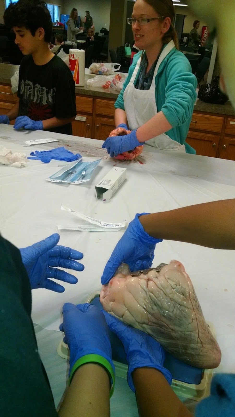 Golden Grasses: Homeschool Heart Dissection - Challenge A Fun!