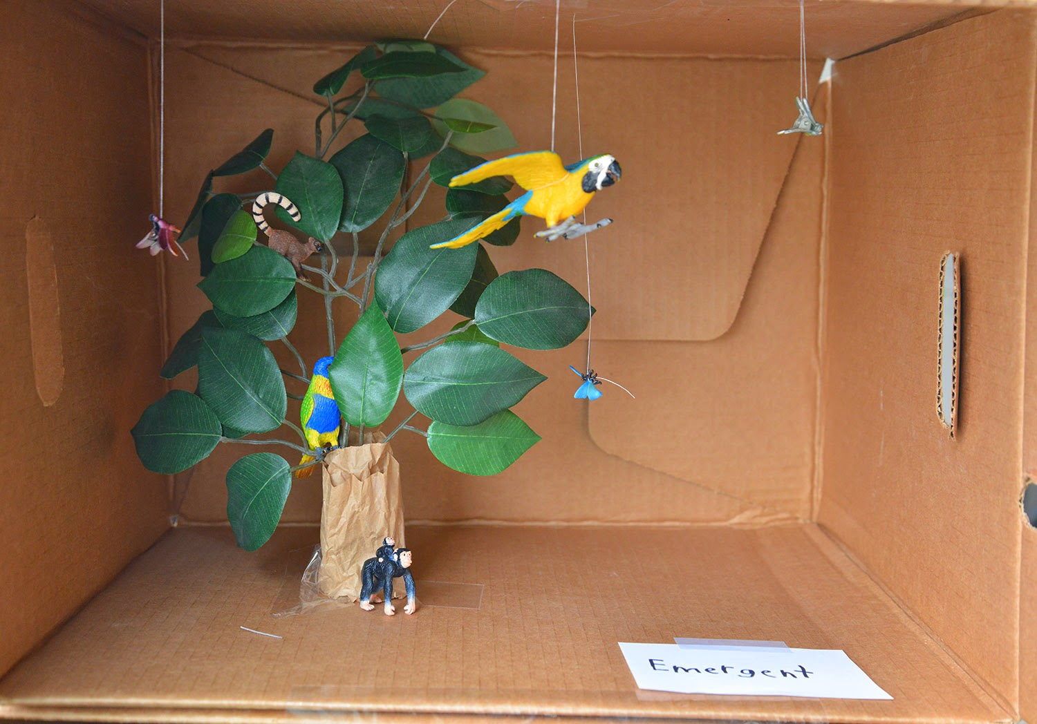 A school of fish: Rainforest Model