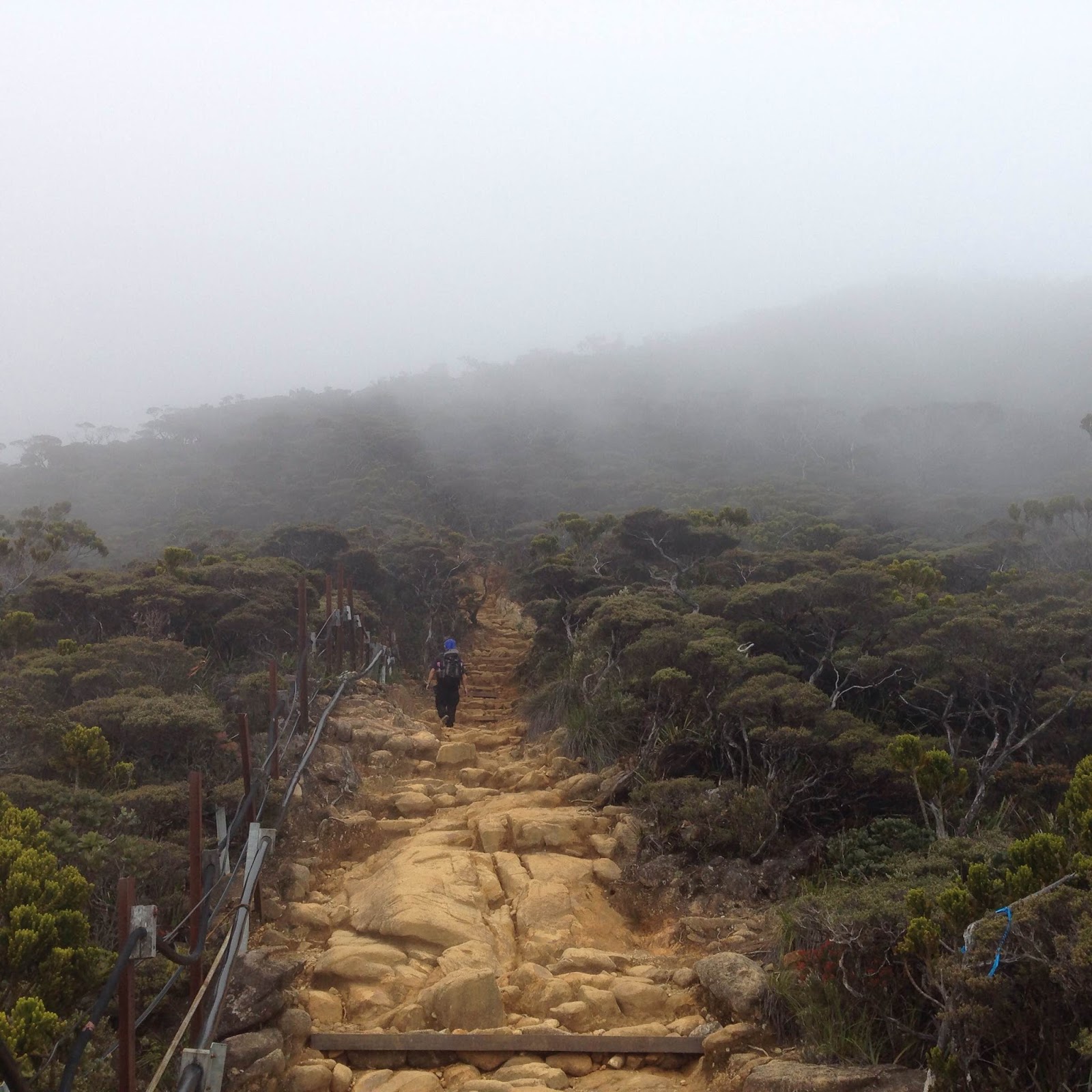 Aloy Paradoks Menulis