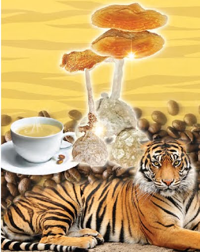Herba & Tumbuhan: CENDAWAN SUSU HARIMAU