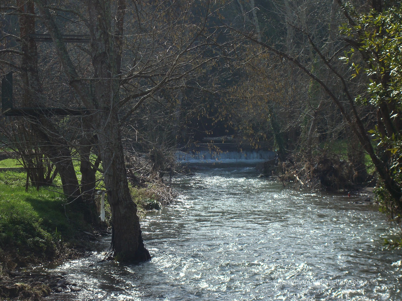 Asturias Mar y Montaña: PR-AS 136 RUTA DE LA RIERA