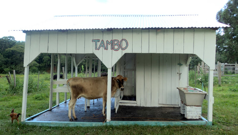Cooperativa Agroecológica "Un Futuro Junto a la Naturaleza": Tambo Modelo