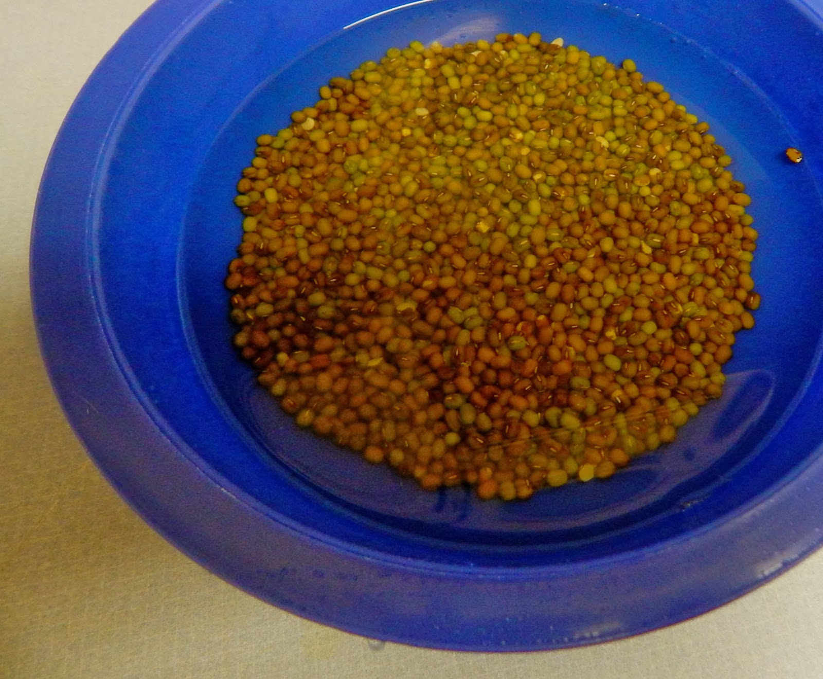 Palatable dishes from Jess's kitchen :) : Kanji , Green gram stir fry ...