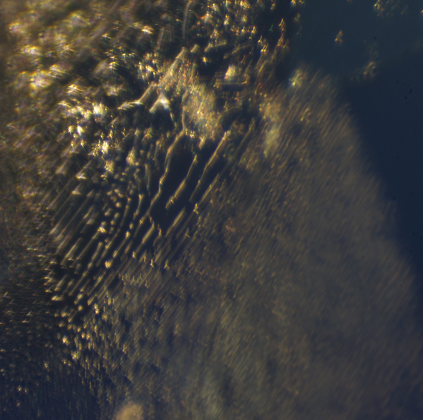 Photographing Gems with a Microscope