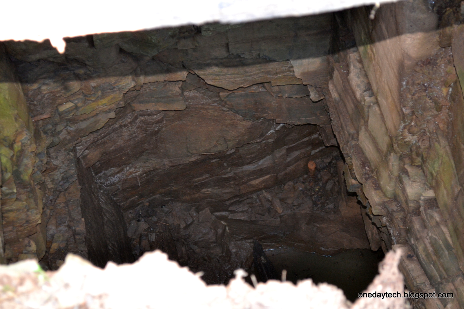 Onedaytech: Harry's Place Moonan