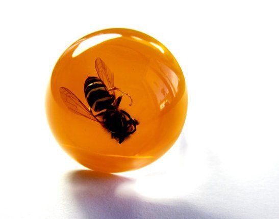 Âmbar | O que é Âmbar Báltico?