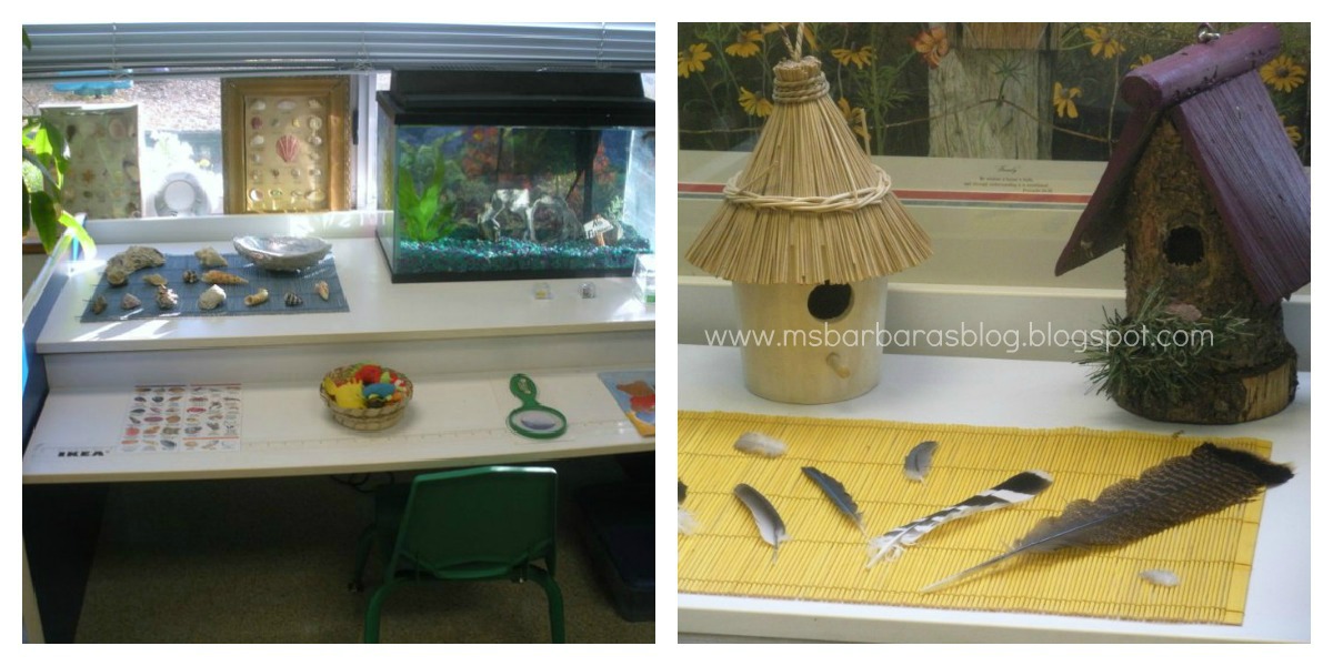 For the Children: 10+ Ways to Know It's a High Quality Program