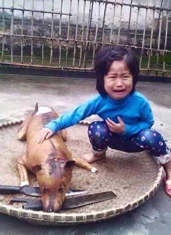 NIÑA ENCUENTRA A SU PERRO ROSTIZADO EN UN RESTAURANTE DE VIETNAM