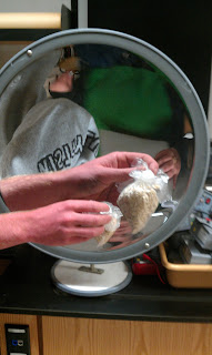 Physics 4C bcedwards: Concave and Convex Mirrors Lab