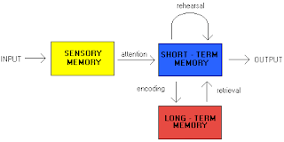 Processes in Long-Term Memory: Rehearsal, Elaboration, and Organization ...
