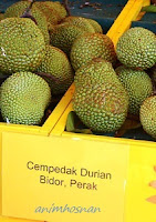 Petak Semai: VARIETI 'CEMPEDAK DURIAN'