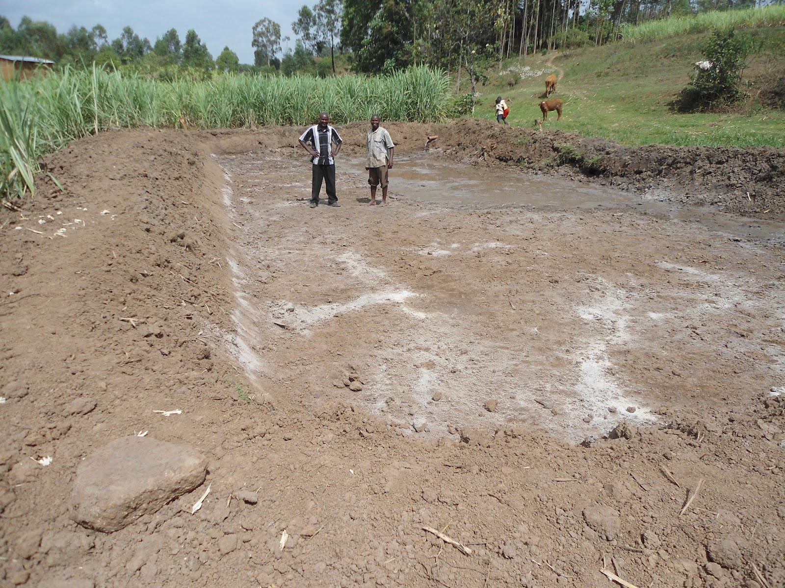 Canada to Kenya: Today was fish ponds being dug
