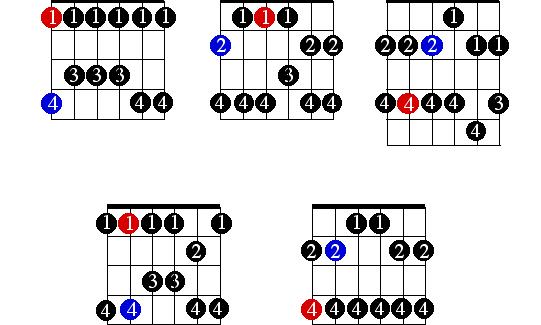 Learning Pentatonic: Major ~ GUITARESOURES