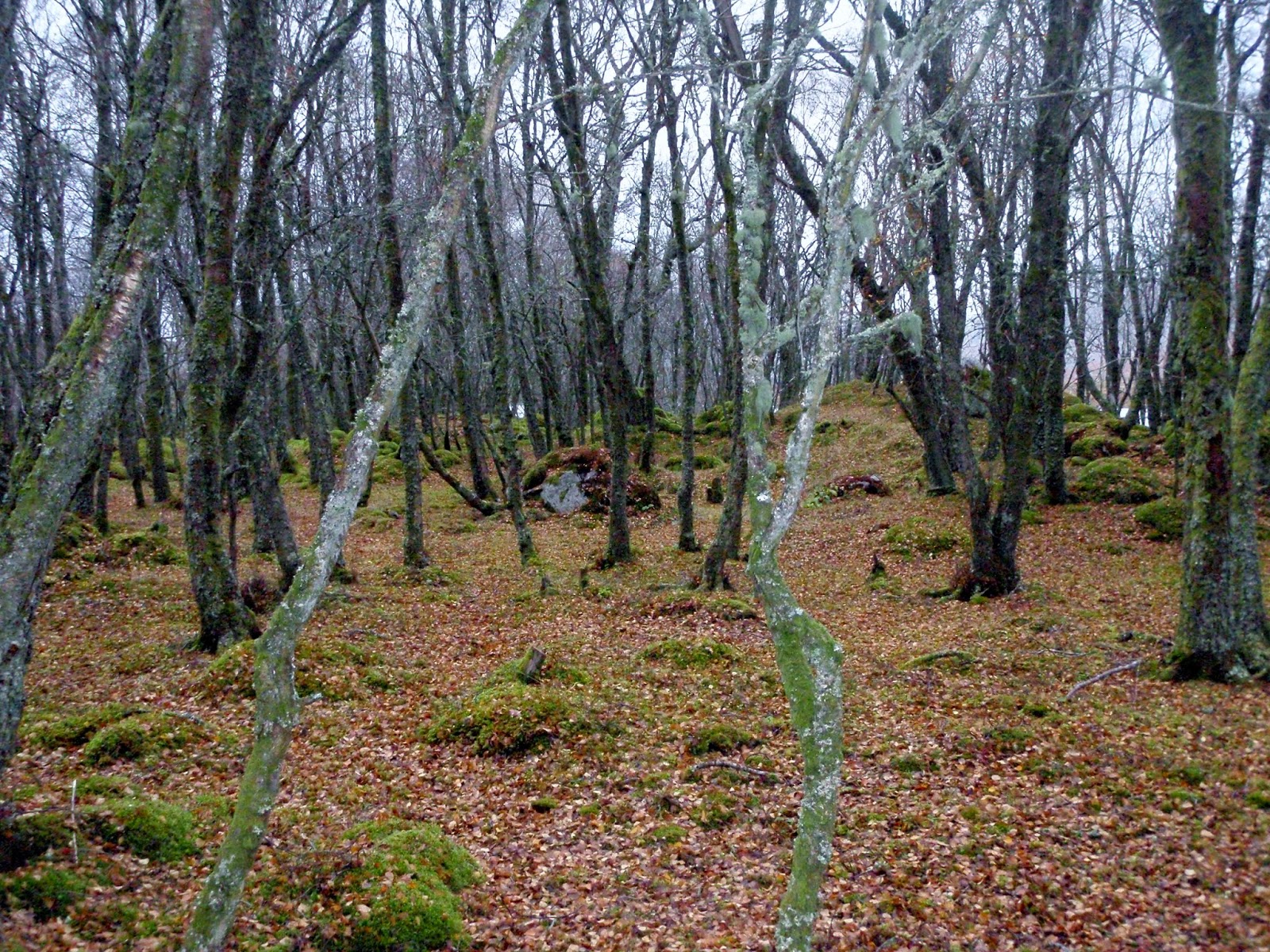 Loch Ba. - Song of the Paddle Forum