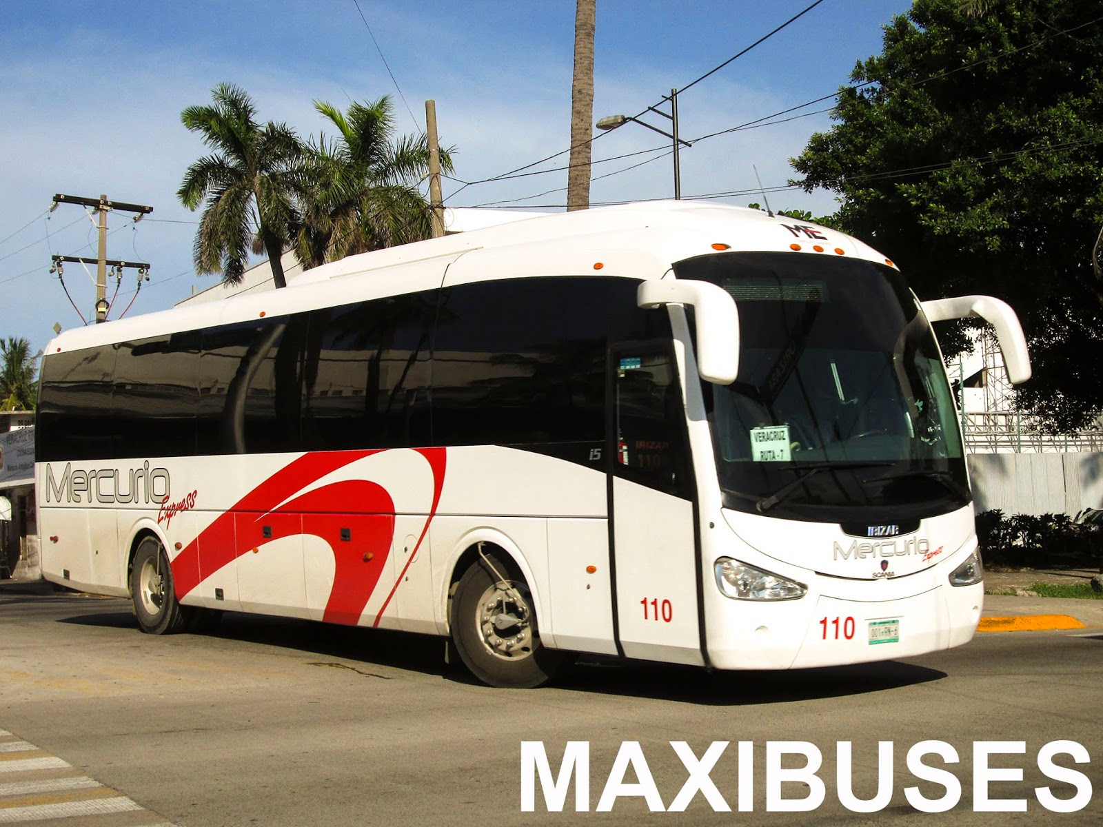 MAXIBUSES: AUTOBUSES MERCURIO EXPRESS (TURISMO)