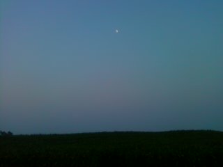 Beam The Light Be The Change: A Healing Journey Part Four: Pictorial