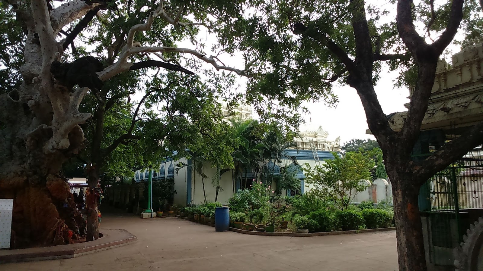 Little Creative Photographer: 198. GODDESS CHENGALAMMA TEMPLE Sullurpeta #2