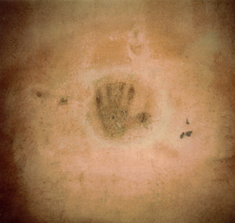 The End of Summer: January 2014