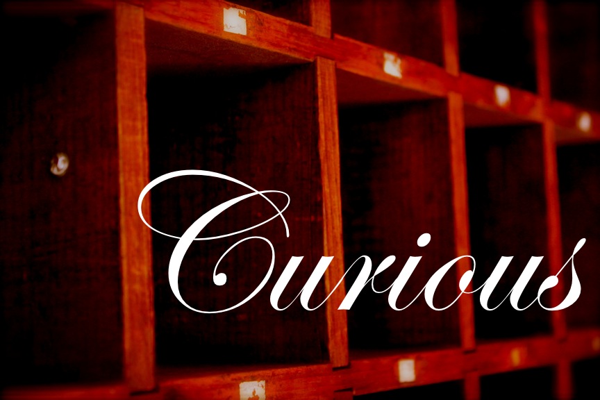 The Writing And Art Of Andrew Thornton Weekly Word Curious the-writing-and-art-of-andrew-thornton-weekly-word-curious