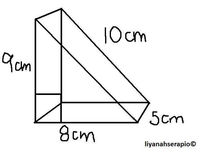 817 Math Blog (2011): Liyanah's Surface Area Post And Volume Post