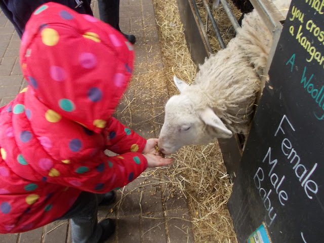 Headteacher's blog: Ash End House Farm