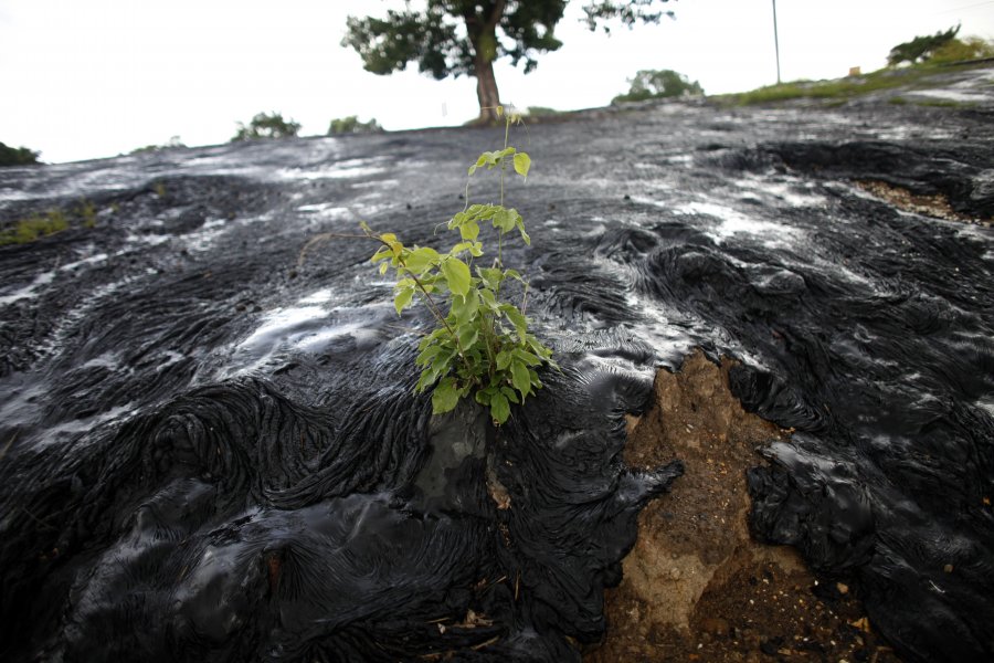 Road Readie Paving: An Asphalt Lake in Trinidad - natural deposit 250 ...