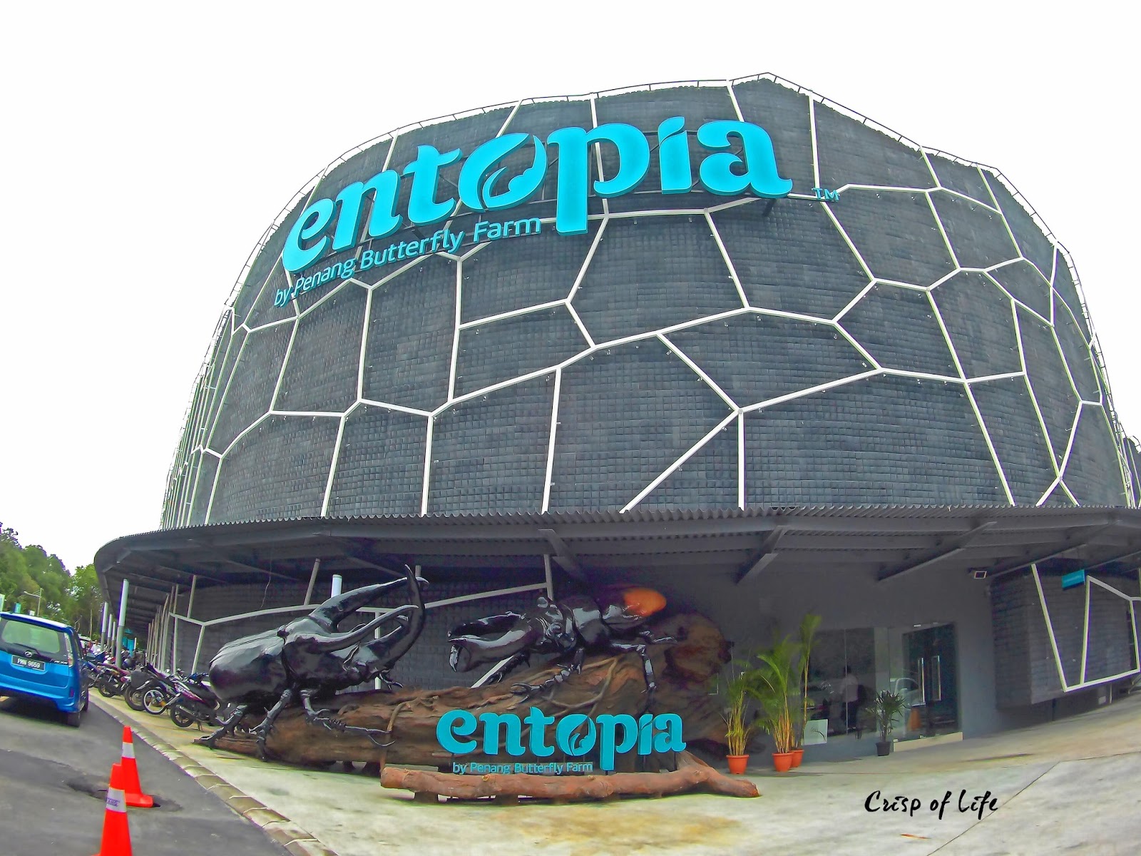 Discover the Tropical's Denizens in Entopia @ Teluk Bahang, Penang ...