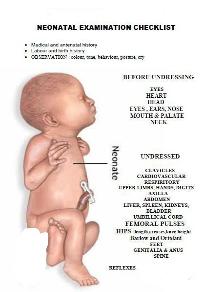 Pediatrics Notes: July 2017