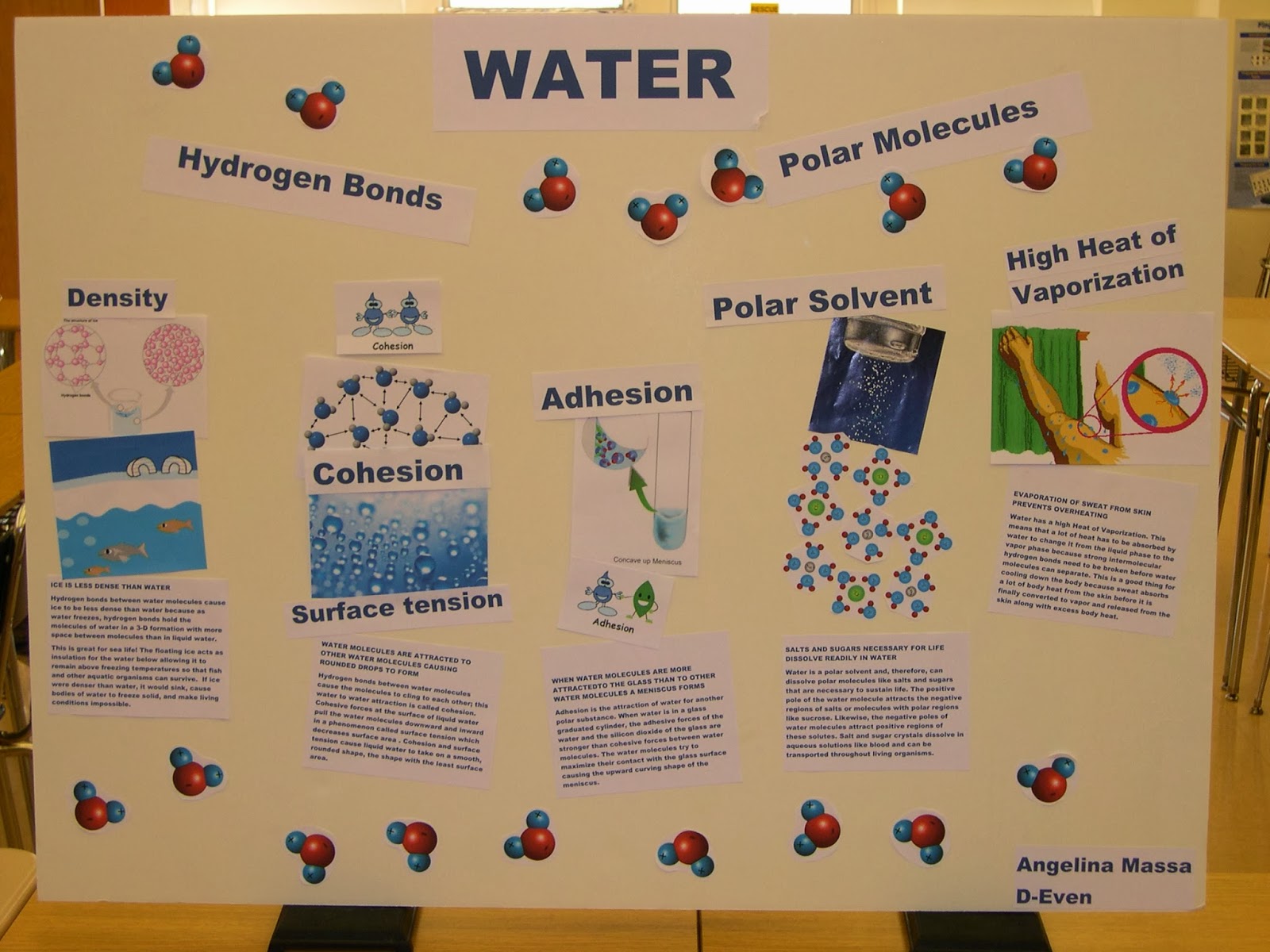 Bronxville Science Department: AP Biology Student's Water Properties ...